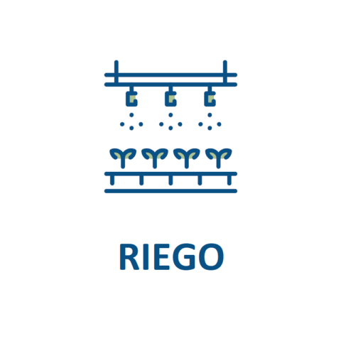 agrosoftweb | Agrosoft